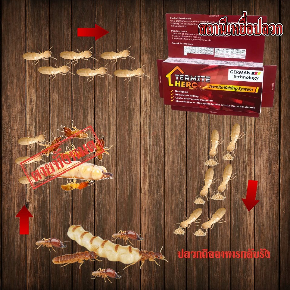 สถานีเหยื่อปลวก/TERMITE HERO เหยื่อกำจัดปลวก/กับดักปลวก/ระบบเหยื่อล่อปลวก/ระบบกำจัดโคโลนี/ควบคุม ...