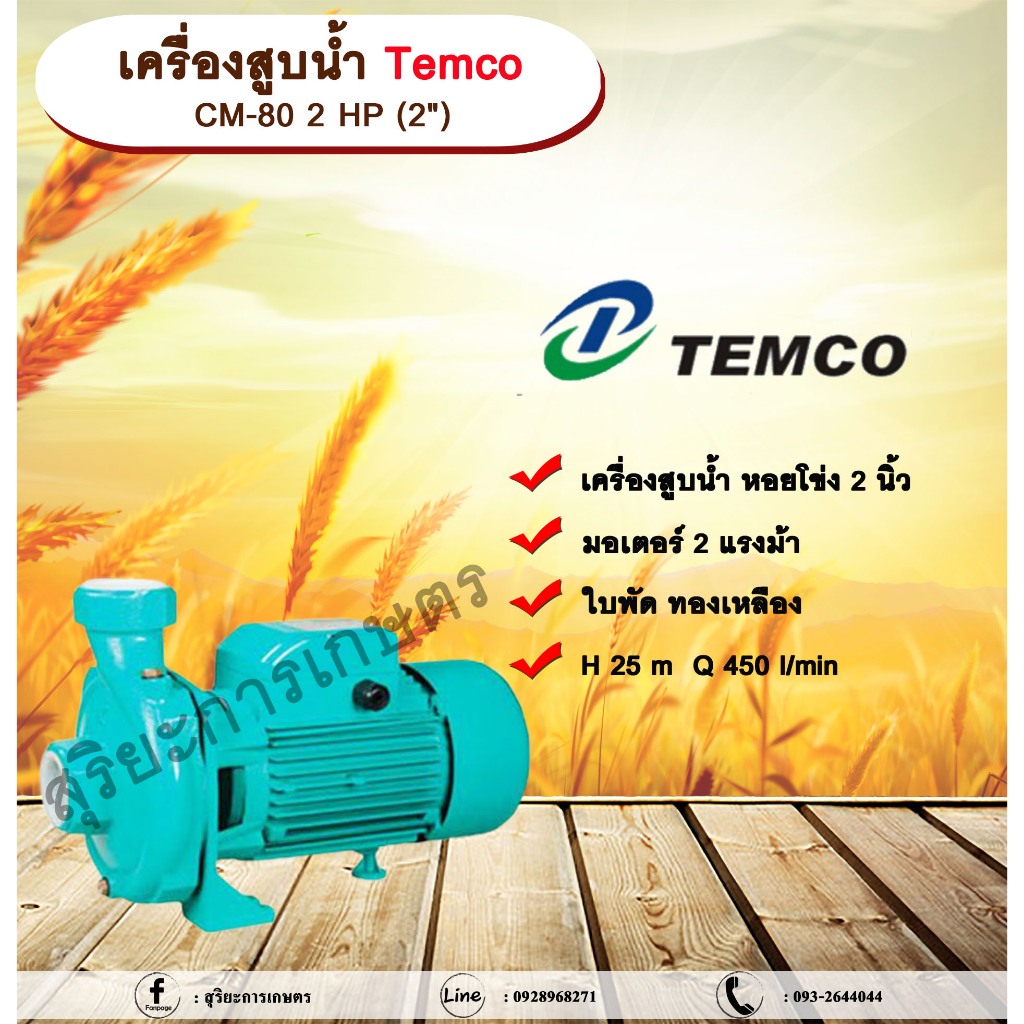 เครื่องสูบน้ำ Temco CM-80 2 HP (2”) ปั๊มไฟฟ้า ปั๊มหอยโข่ง ขนาด 2 นิ้ว allaboutplants | Shopee ...