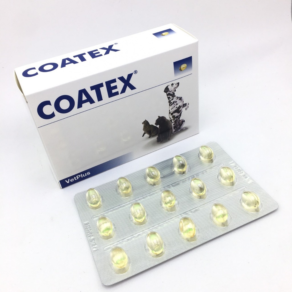 Coatex อาหารเสริม บำรุงขนและผิว แบบเม็ด สำหรับสุนัขและแมว บรรจุ 60 เม็ด ...