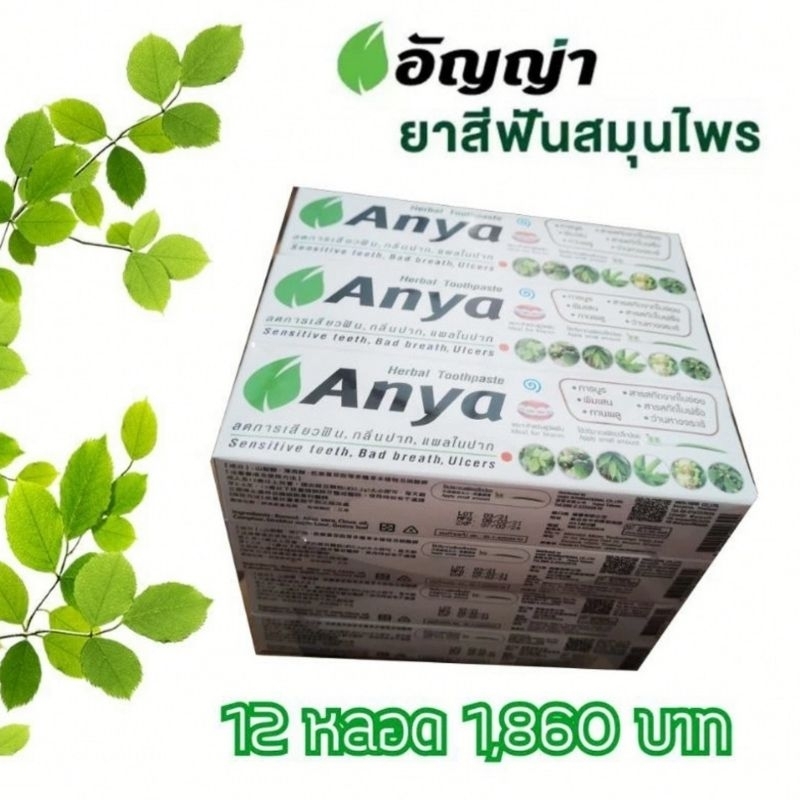 ยาสีฟันสมุนไพรอัญญ่า (ANYA) สูตรดั้งเดิม คุณภาพส่งออก ขนาด 120g ซื้อยกโหล 12 หลอด | Shopee Thailand