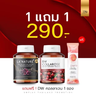 dw collarose ราคาพิเศษ | ซื้อออนไลน์ที่ Shopee ส่งฟรี*ทั่วไทย!