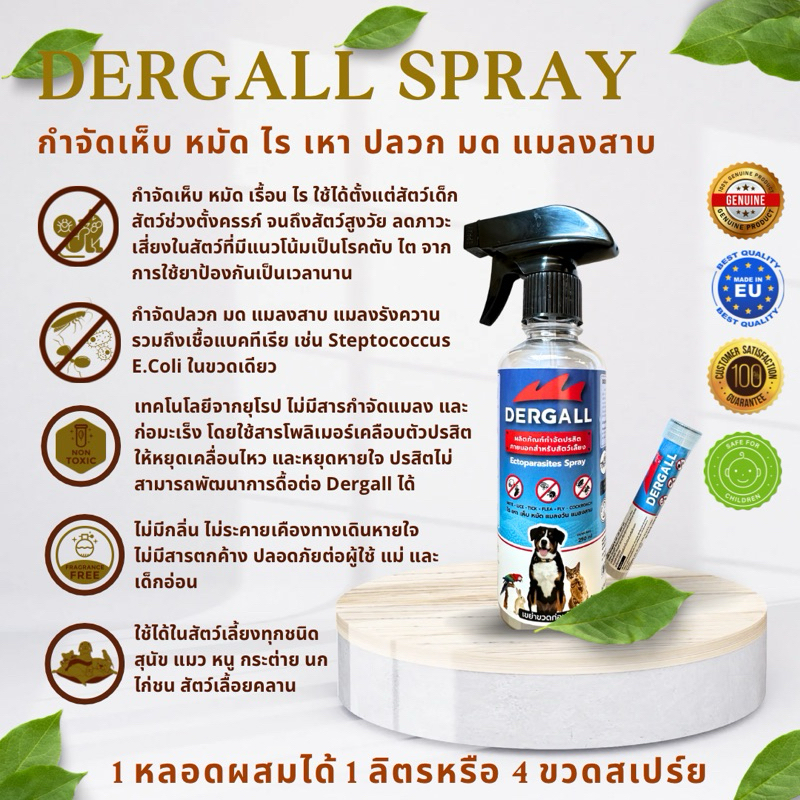 DERGALL ผลิตภัณฑ์กำจัด เห็บ หมัด ไร เหา มด ปลวก แมลงสาบ ปลอดภัยต่อ ...
