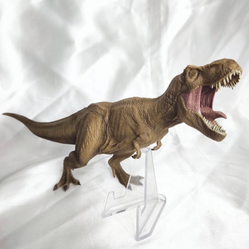 โมเดล Trex ทีเร็กซ์ Tyrannosaurus Rex ไทแรนโนซอรัส ไดโนเสาร์ Dinosaur ...
