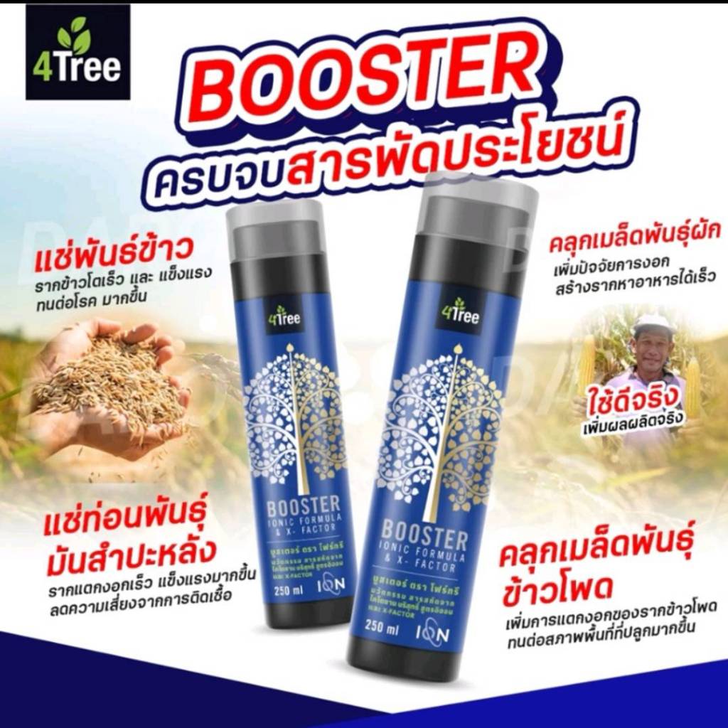 ของแท้ Booster 4tree บูสเตอร์ โฟร์ทรี ปุ๋ยทางใบ นวัตกรรมสารสกัดจากไคโตซานบริสุทธิ์ โฟที 4t ส่ง ...