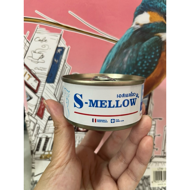 อาหารแมวป่วยs-mellowส่งเร็วมาก (ฟรีกดโค๊ดส่งด่วน) | Shopee Thailand