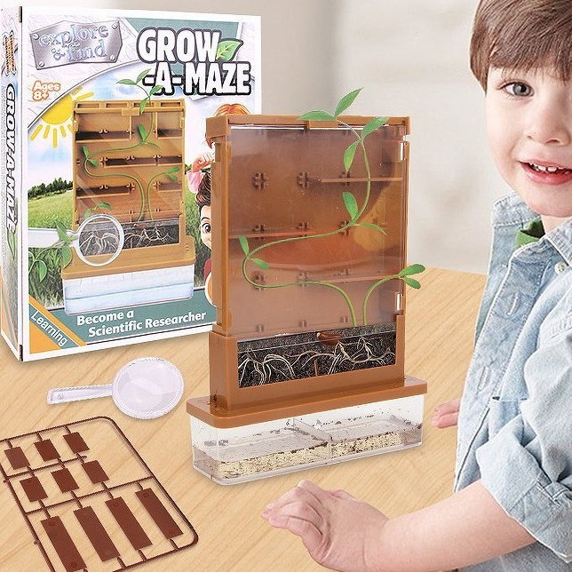Diy learning science plant indoor Garden Grow A Maze อุปกรณ์เรียนรู้การ ...