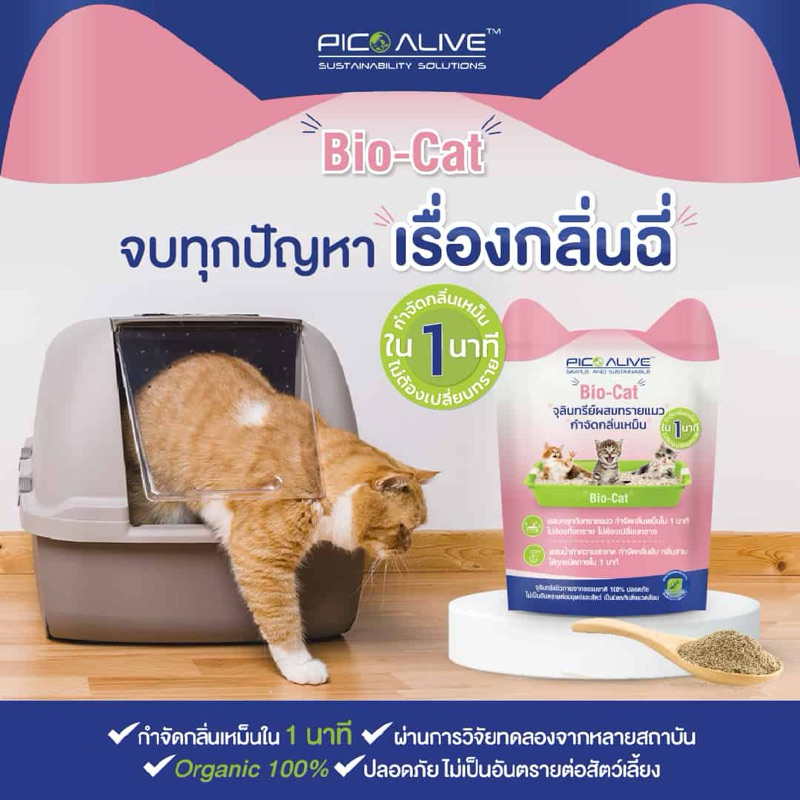 Bio Cat จุลินทรีย์ดับกลิ่นฉี่แมวใน 1 นาที ผงโรยทรายแมว ไม่เป็นอันตราย ...