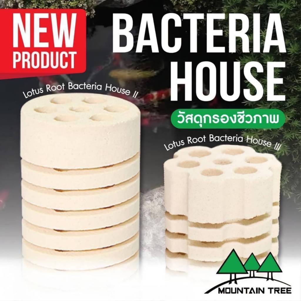 Mountain Tree Lotus Root Bacteria House วัสดุกรองชีวภาพ คุณภาพสูง ราคา ...