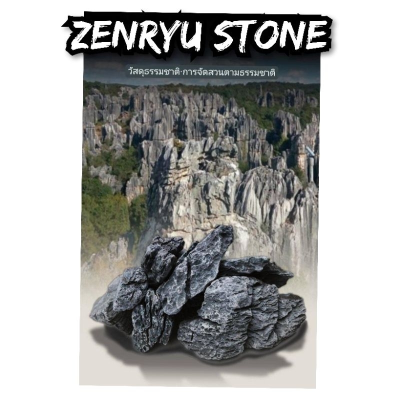 หิน Zenryu Stone หินจากธรรมชาติ จัดตกแต่ง | Shopee Thailand
