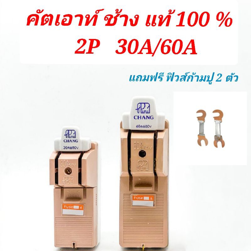 คัทเอ้าท์ สะพานไฟ ตรา CHANG ช้าง แท้ 100% 2P 30/60A | Shopee Thailand