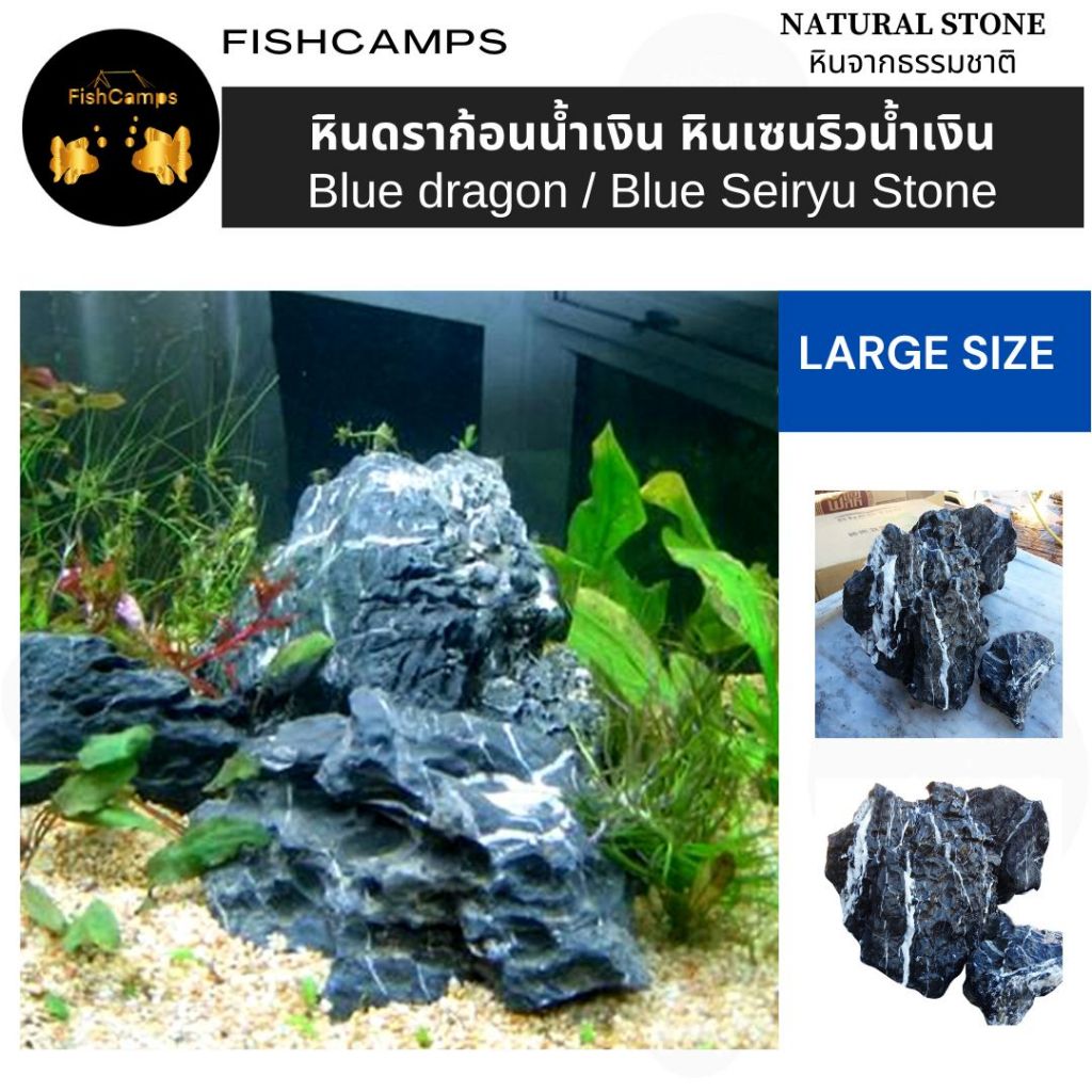 หินก้อนใหญ่ หินดราก้อนน้ำเงิน หินเซนริวน้ำเงิน Blue dragon / Seiryu ...