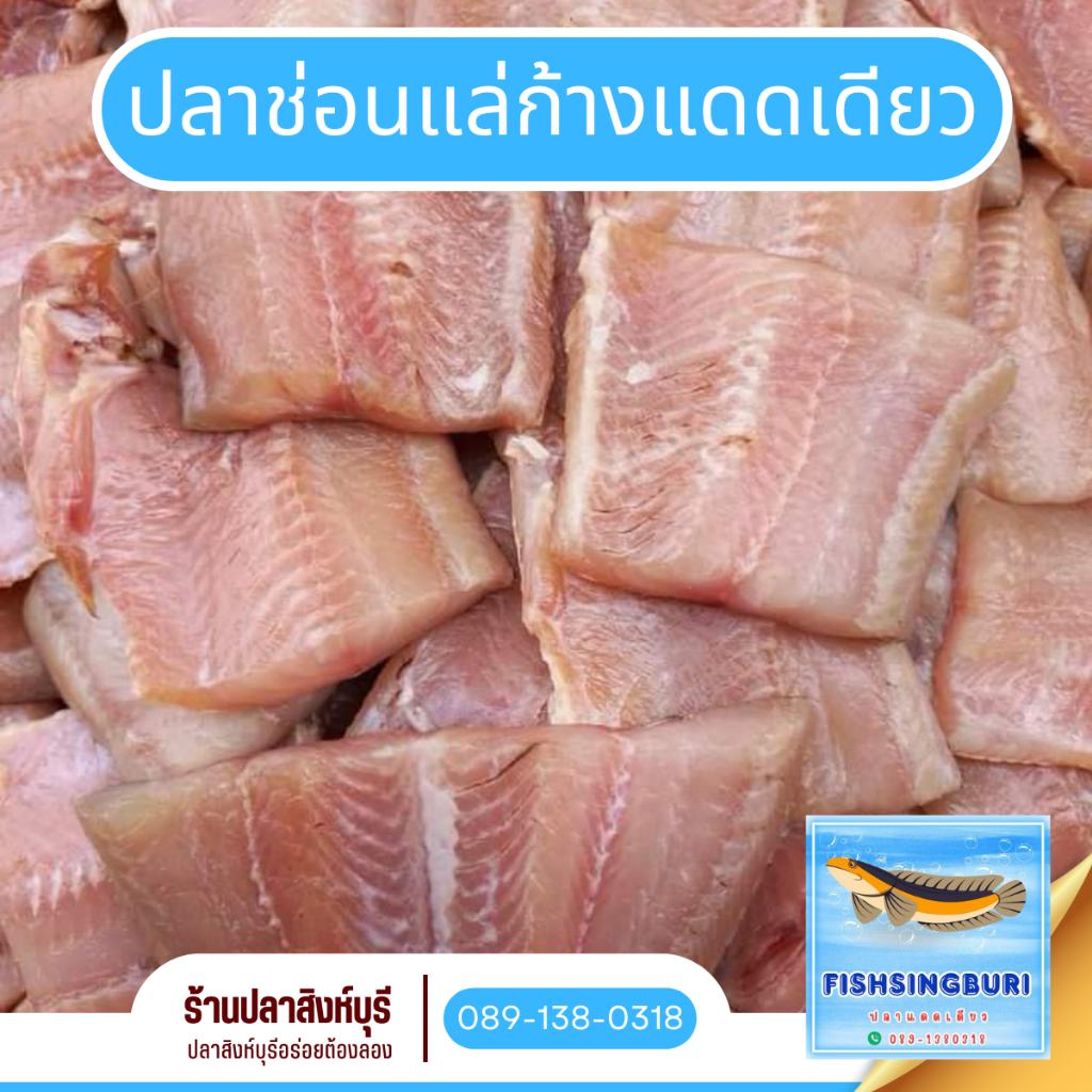 ปลาช่อนแดดเดียวแล่ก้าง น้ำหนักเต็ม 1กิโลกรัม 310 บาท | Shopee Thailand