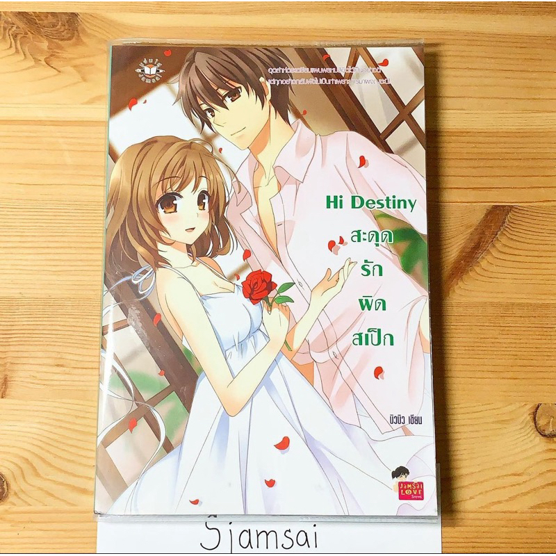Hi Destiny สะดุดรักผิดสเป็ก โดย บิวบิว | Shopee Thailand