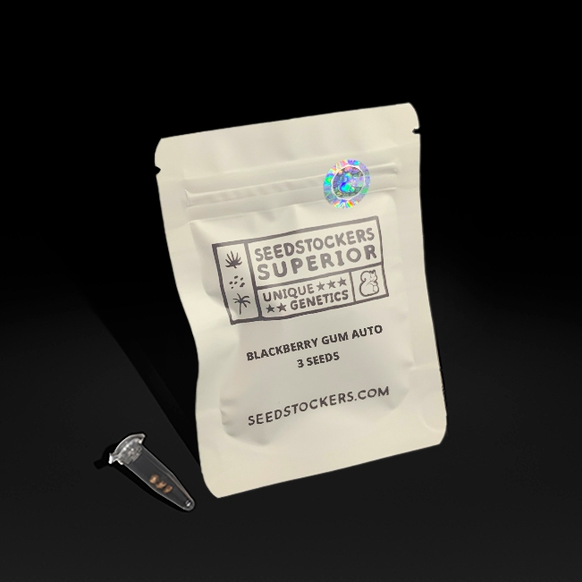 เมล็ด Blackberry Gum Auto - Seed Stockers | Shopee Thailand