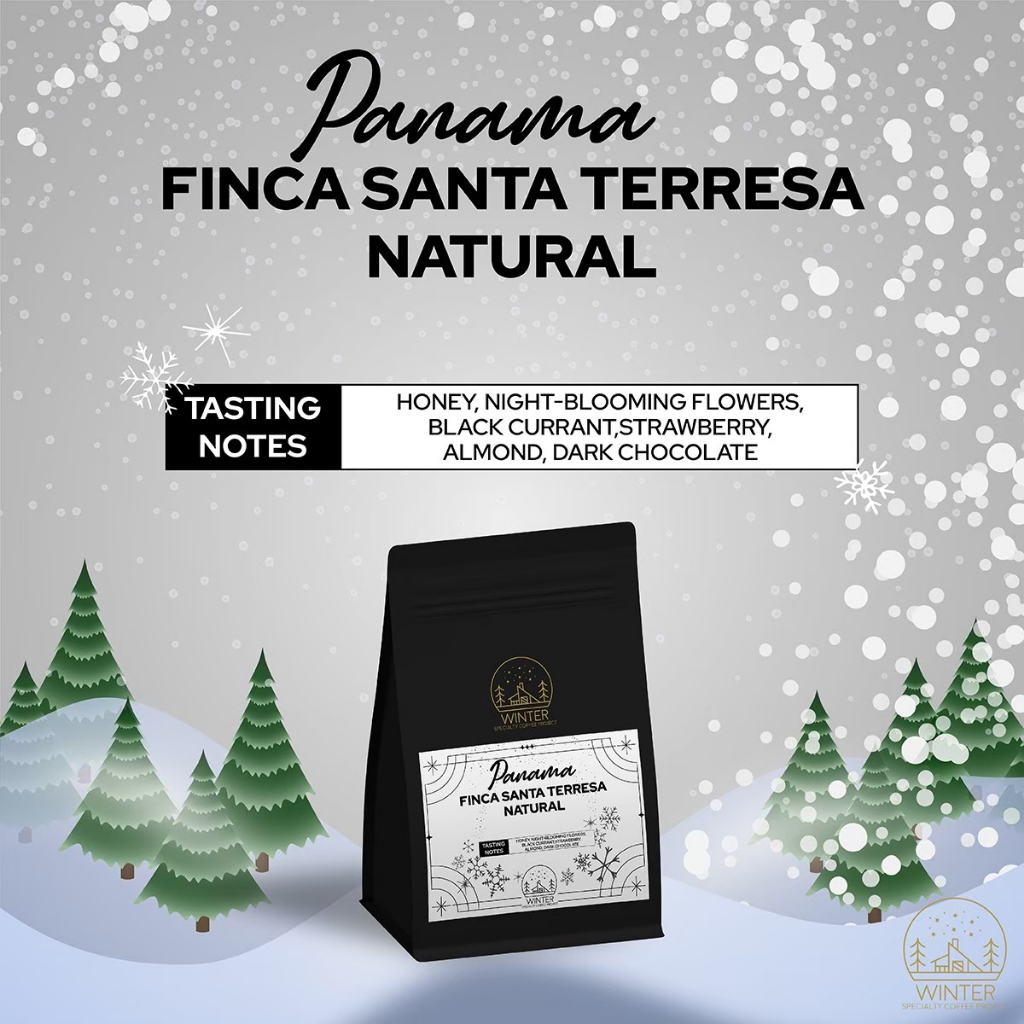 PANAMA - FINCA SANTA TERRESA NATURAL | Shopee Thailand