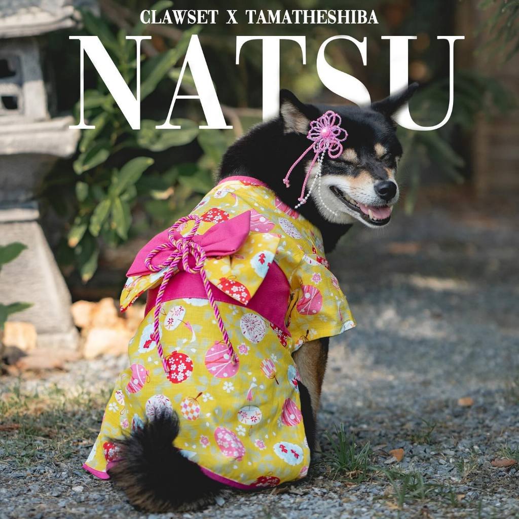 ชุดกิโมโน Inusama Collection คอลเลคชั่นญี่ปุ่น ชุดสัตว์เลี้ยง | CLAWSET ...