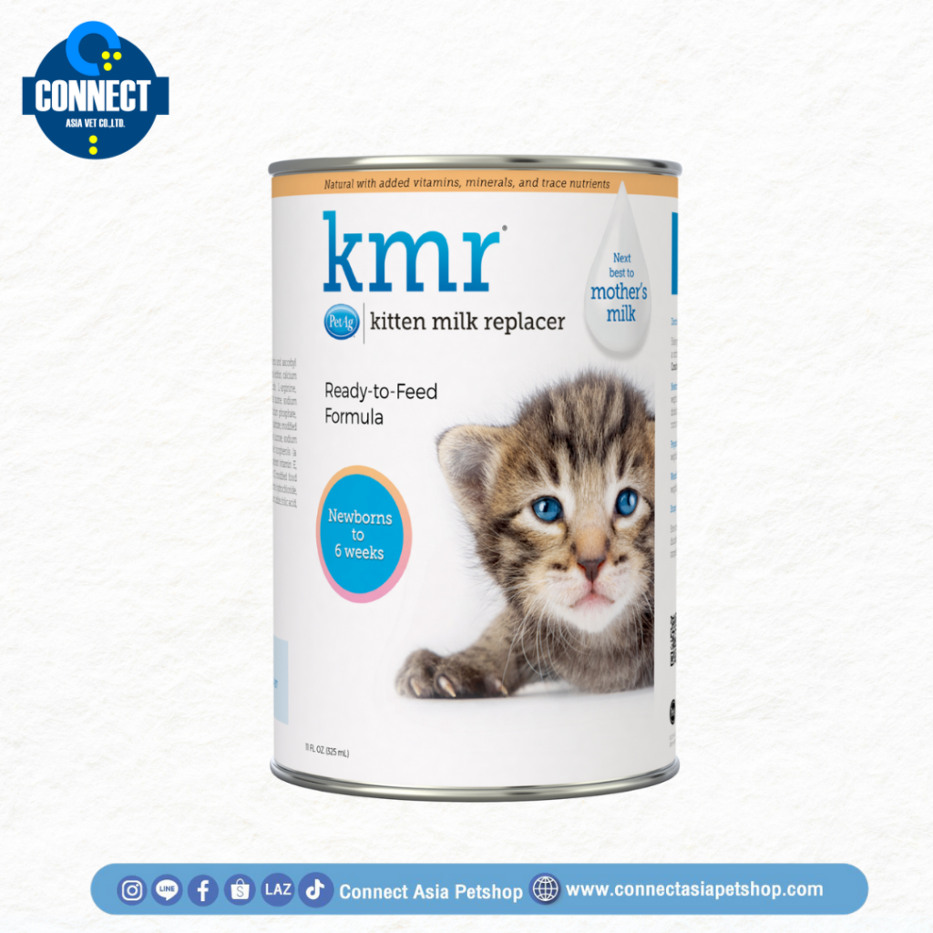 KMR Kitten Milk Replacer Powder and Liquid กระป๋อง * นมทดแทนนมสำหรับ ...