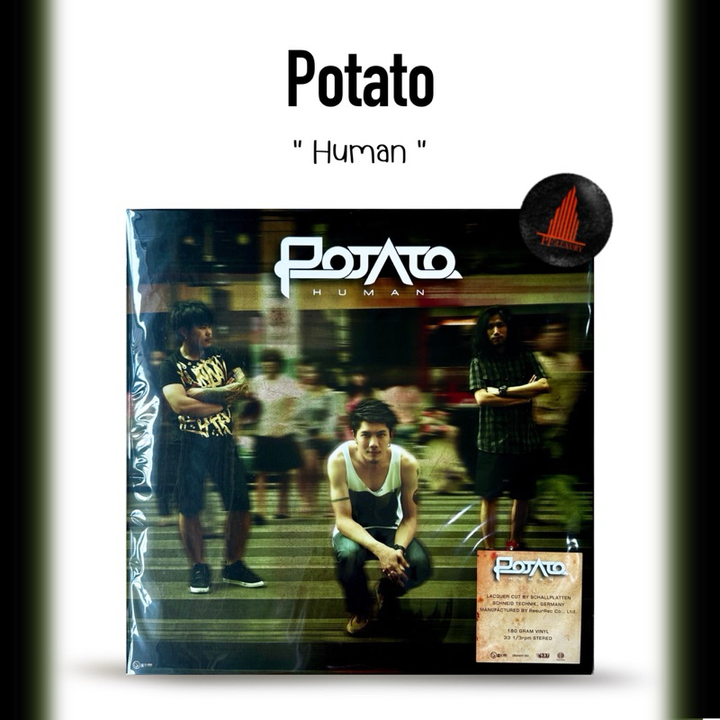 แผ่นเสียง Potato Human | Shopee Thailand