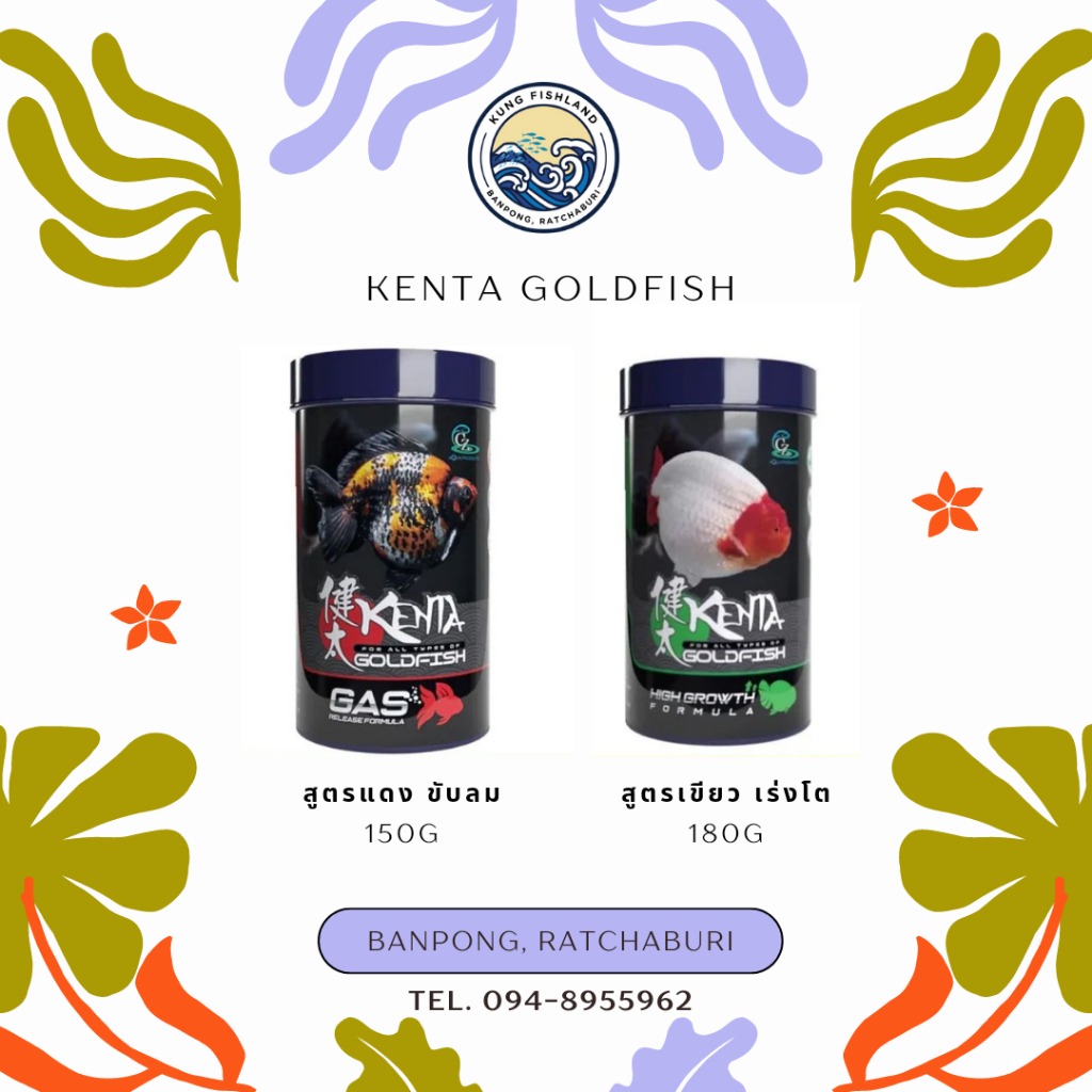 Kenta Gold Fish ฉลากเขียว เร่งโต โปรตีนสูง ย่อยง่าย ฉลากแดง ขับลม แก้ ...