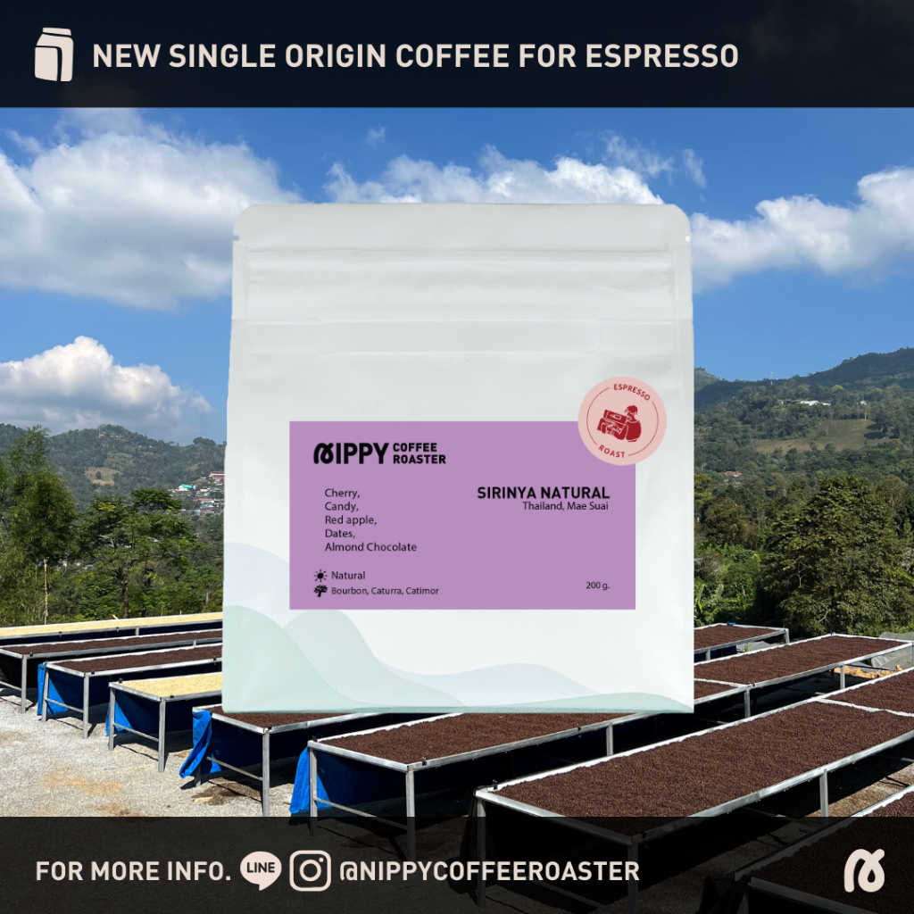 Nippy Coffee Roaster เมล็ดกาแฟคั่ว Sirinya Natural Thailand, Mae Suai ...