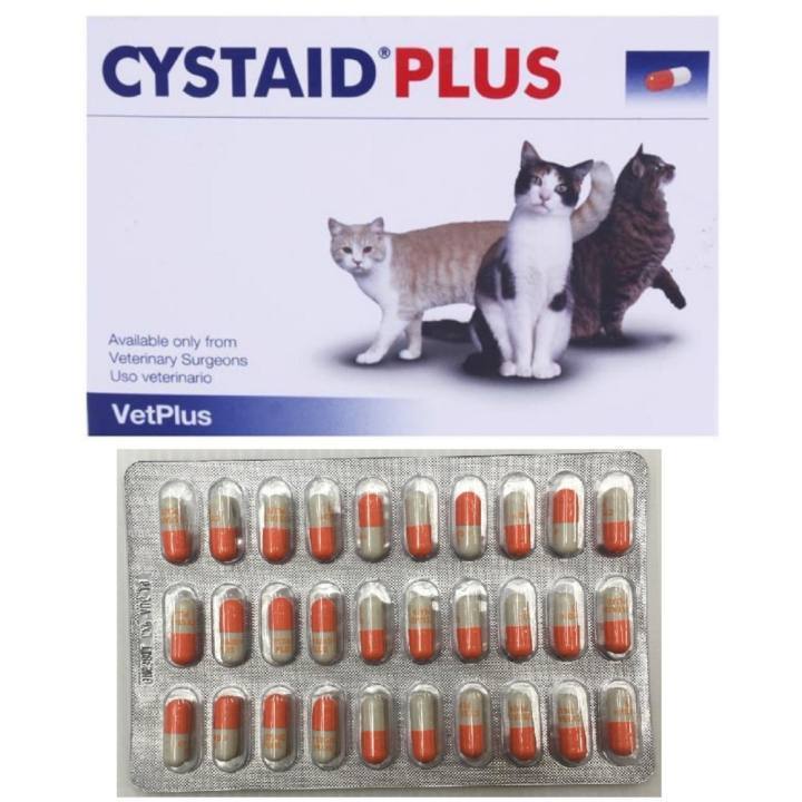 Cystaid plus 30 แคปซูล อาหารเสริมโปรตีนเสริมความแข็งแรงของกระเพาะ ...