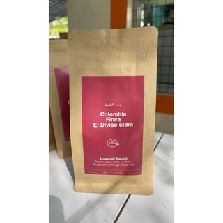 เมล็ดกาแฟ Colombia Finca El Diviso Sidra | Shopee Thailand