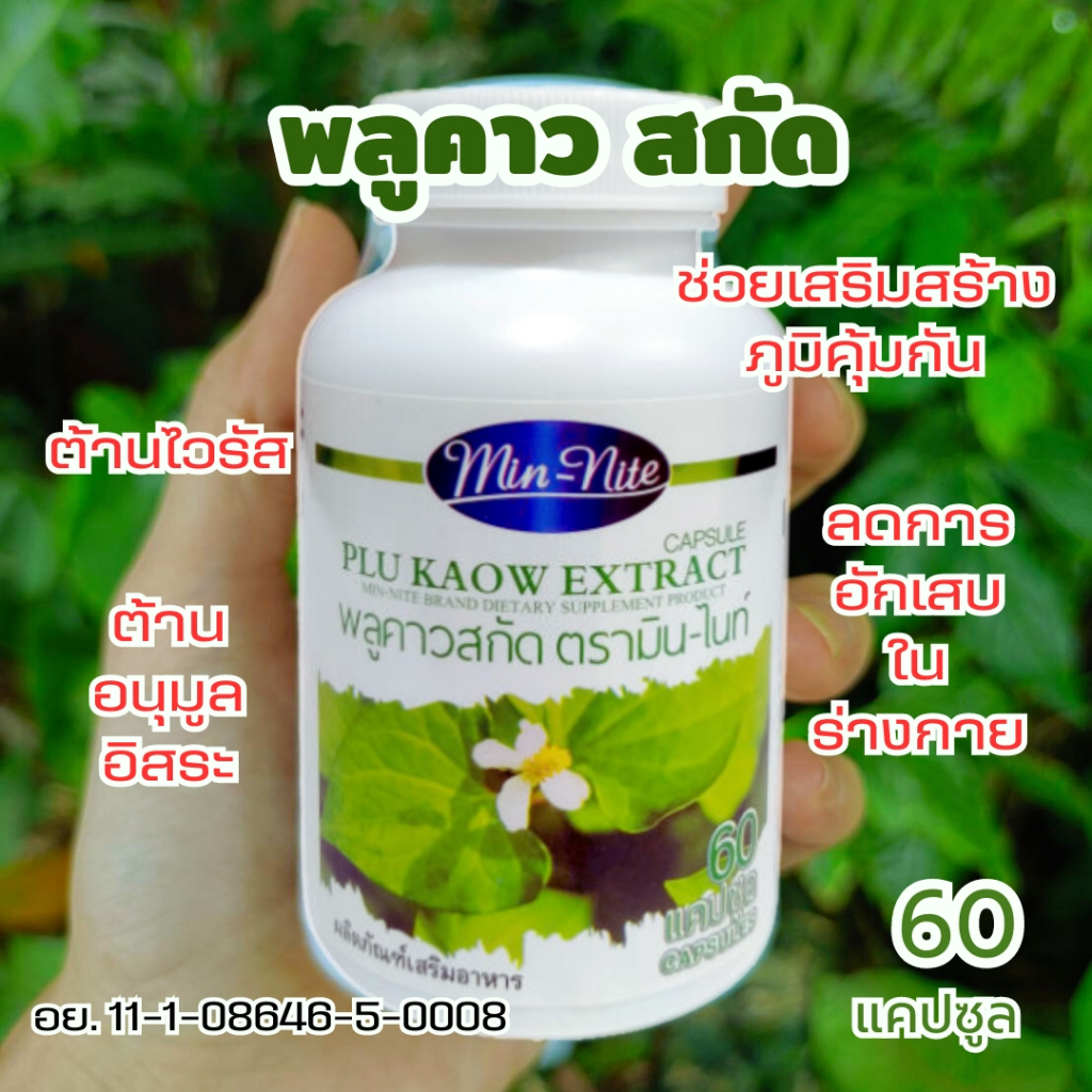 พลูคาวสกัด ตรามิน-ไนท์ Plu kaow extract min-nite brand 60 แคปซูล ...
