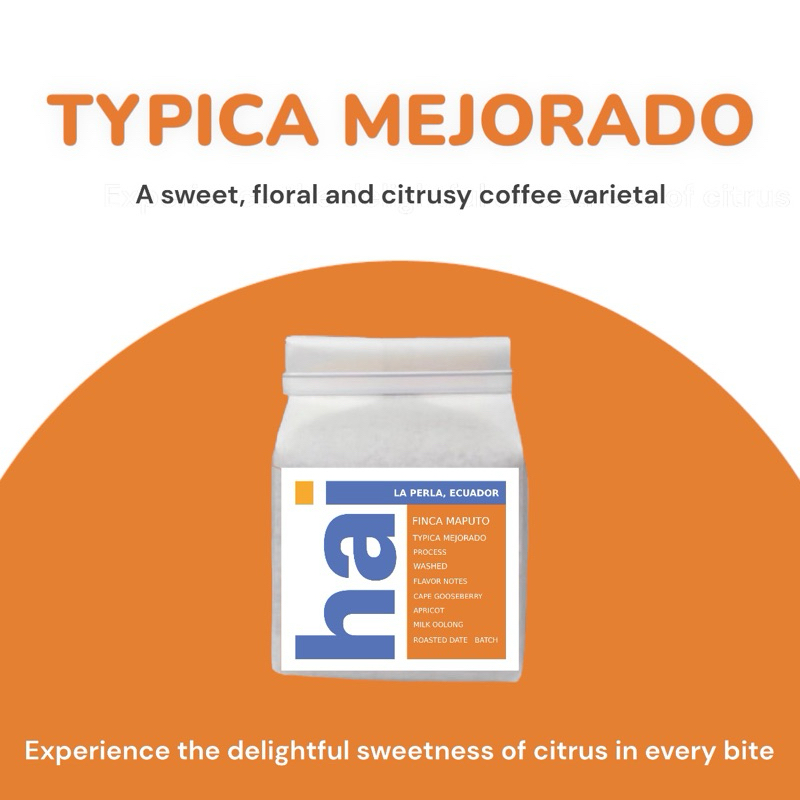 Hai single origin (กาแฟคั่วอ่อน) Typica Mejorado, Finca Maputo, Ecuador ...