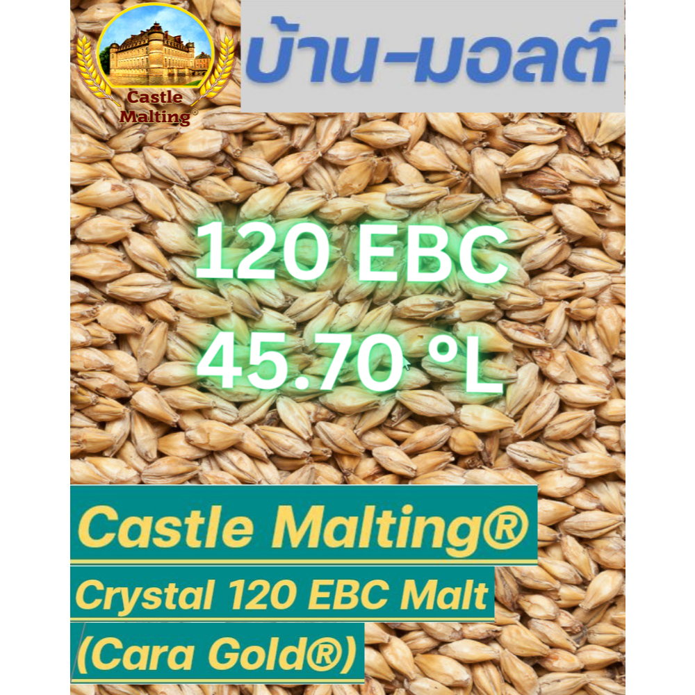 Castle Malting® Crystal Malt (Cara Gold®): 120 EBC มอลต์ | Shopee Thailand