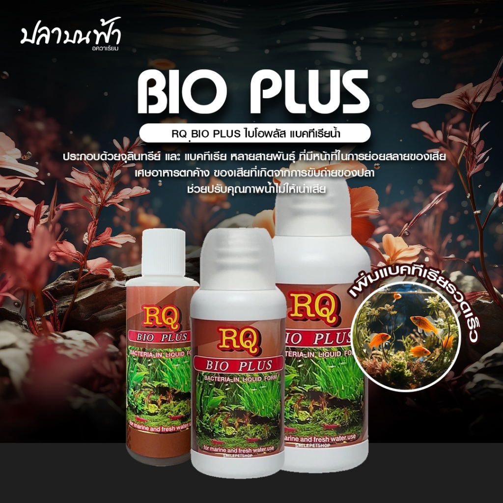 RQ BIO PLUS แบคทีเรียย่อยสลายของเสียในน้ำ ช่วยปรับปรุงคุณภาพน้ำไม่ให้เน่าเสีย ลดแอมโมเนียได้เป็น ...