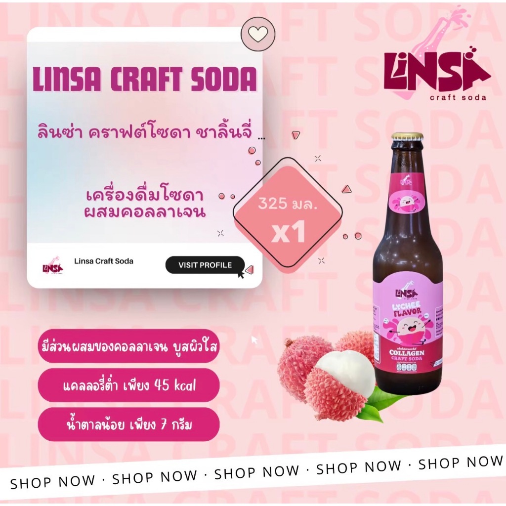 ลินซ่า ลิ้นจี่ คราฟต์โซดา 325 มล. 1 ขวด Linsa Lychee Craft Soda ...