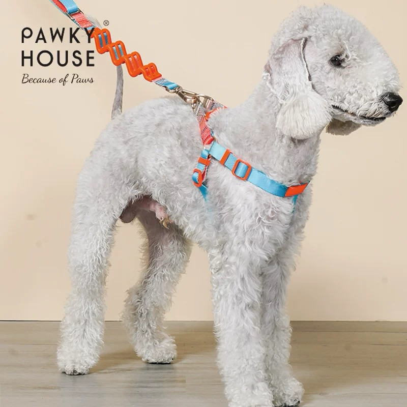 Pawky House สายจูงลดแรงกระชากMultifunction Leash | Shopee Thailand