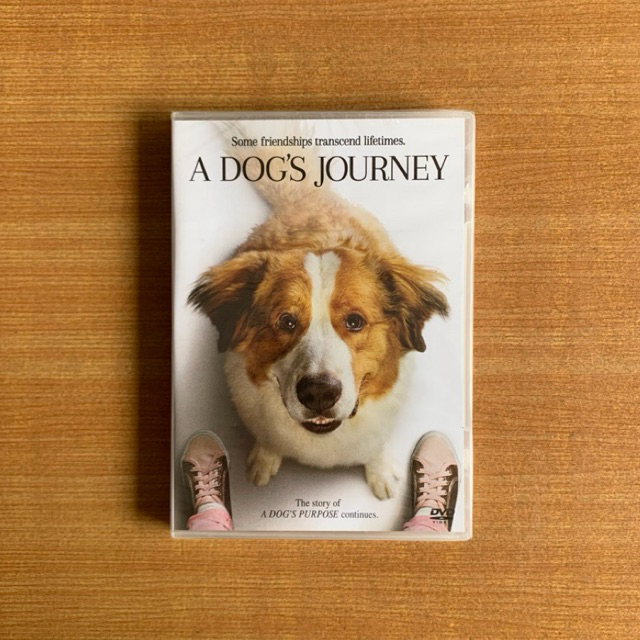 DVD : A Dog's Journey (2019) หมา เป้าหมาย และเด็กชายของผม 2 [มือ 1 ซับ ...