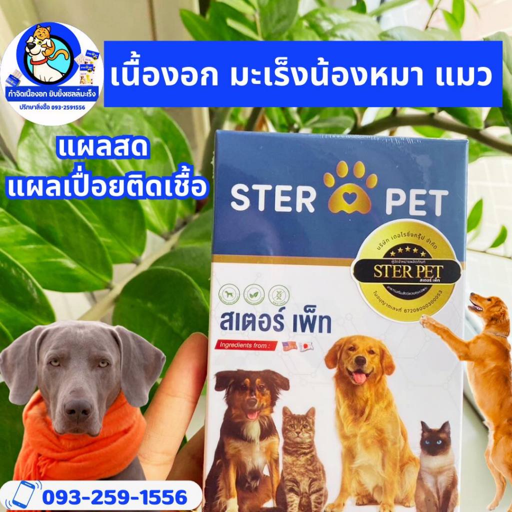 Ster pet รักษาเนื้องอกมะเร็งน้องแมวน้องหมาป่วย | Shopee Thailand