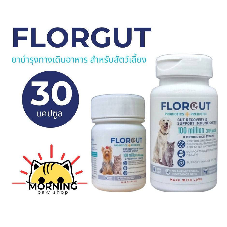 Florgut (ฟอร์กัท) 1กระปุก 30 เม็ด อาหารเสริม พรีไบโอติก โพรไบโอติก ปรับ ...