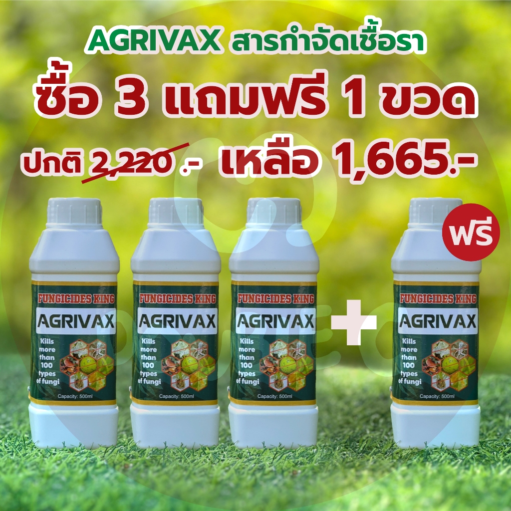Agrivax สารกำจัดเชื้อรา 3 แถม 1 | Shopee Thailand
