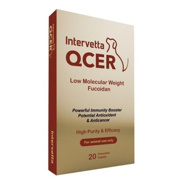 QCER สำหรับสุนัข-แมว มะเร็ง เนื้องอก ก้อนเนื้อผิดปกติ [EXP.12/2025 ...