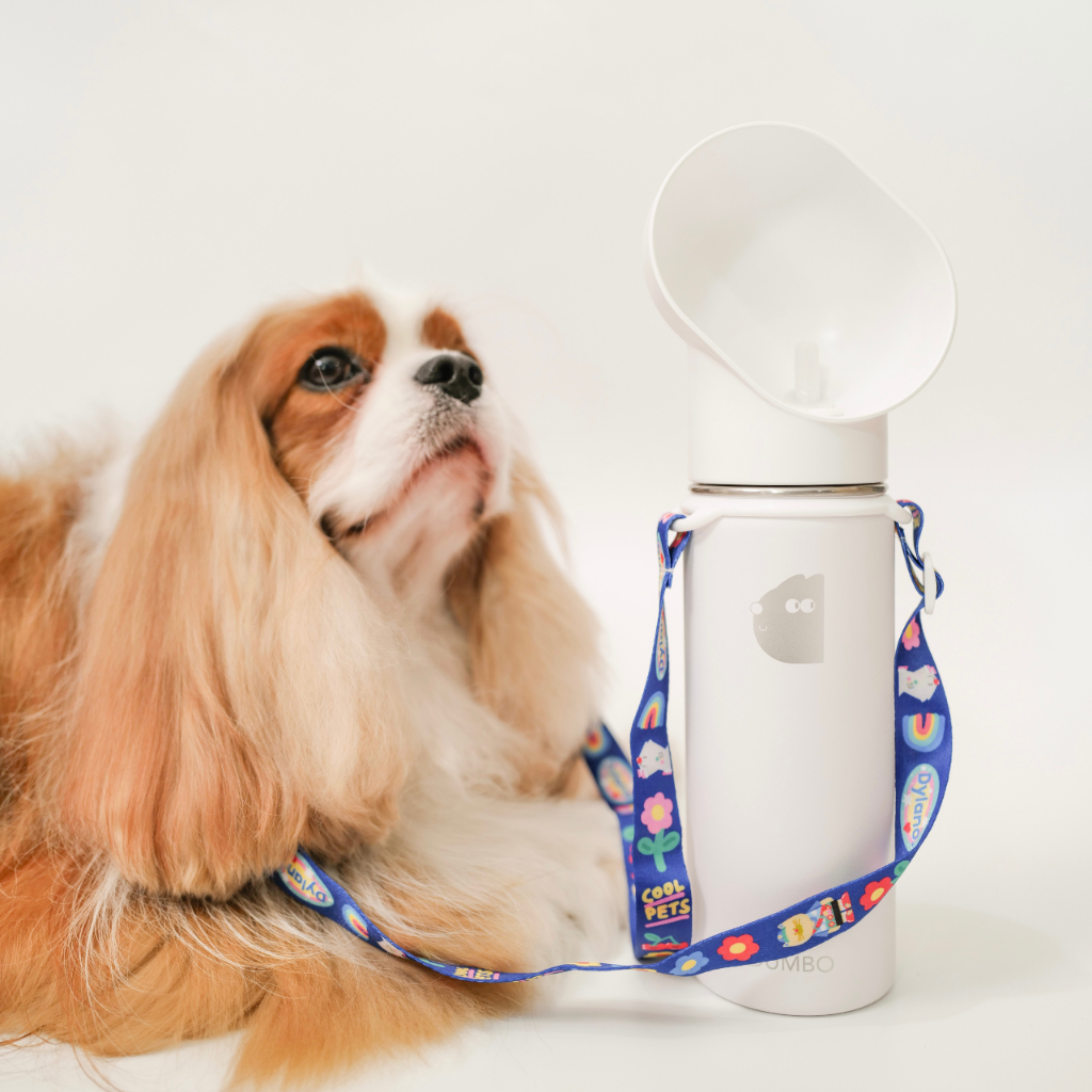 กระบอกน้ำเก็บความเย็น Dylano แบบพร้อมดื่มสำหรับสัตว์เลี้ยง Dylano Ready ...