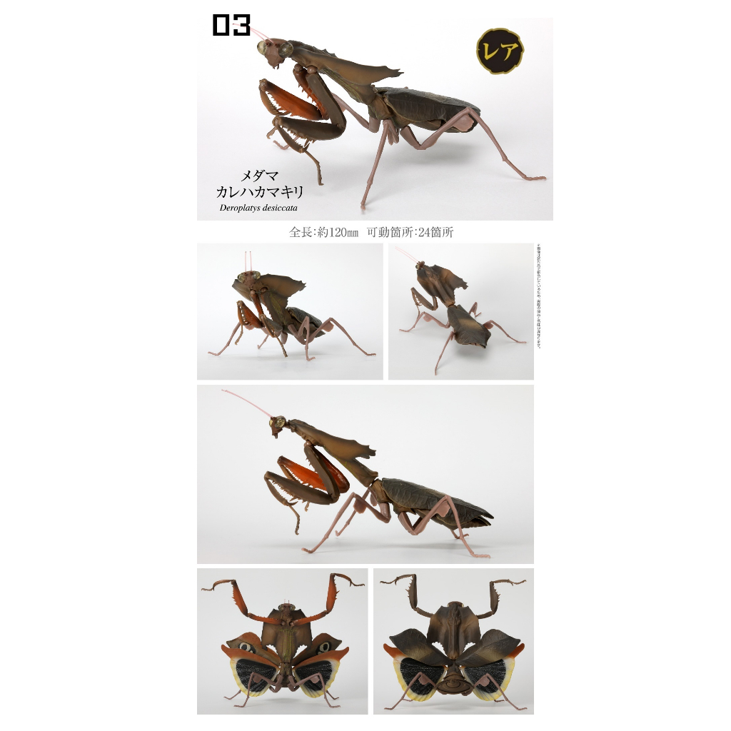 (มีของพร้อมส่ง) Gashapon กาชาปองตั๊กแตน Bandai Kamakiri Mantis Vol.04 ...