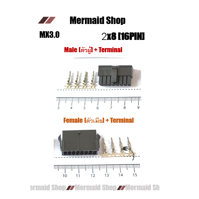 MX3.0 ปลั๊ก 2-24 ช่อง PCI-E Connector Terminal Crimp Pin Plug 5557 | Shopee Thailand