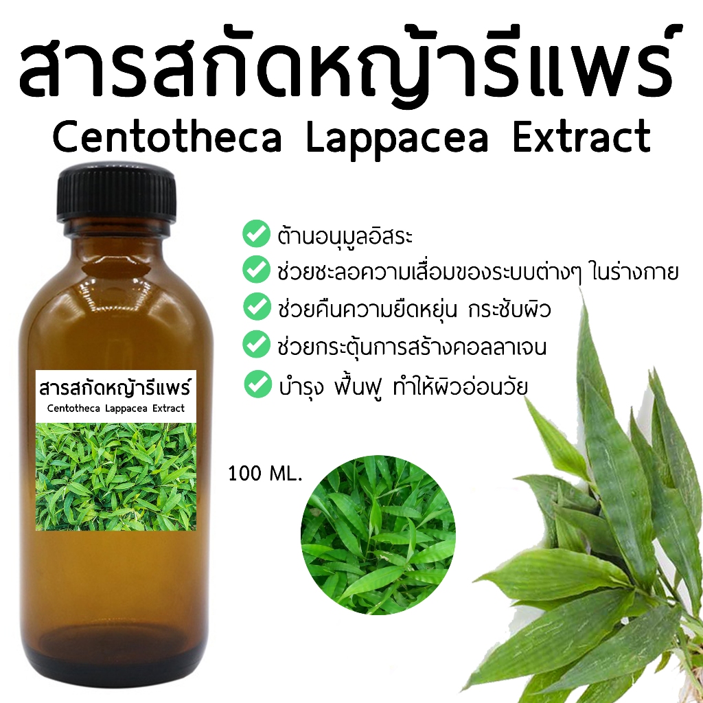 สารสกัดหญ้ารีแพร์ 100 ML. Centotheca Lappacea Extract | Shopee Thailand