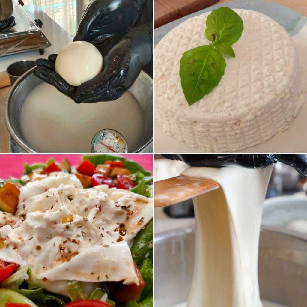 โปรดีลดีจาก COOK-365 คอร์สเรียนออนไลน์ชีสอิตาเลี่ยนโฮมเมด | Shopee Thailand