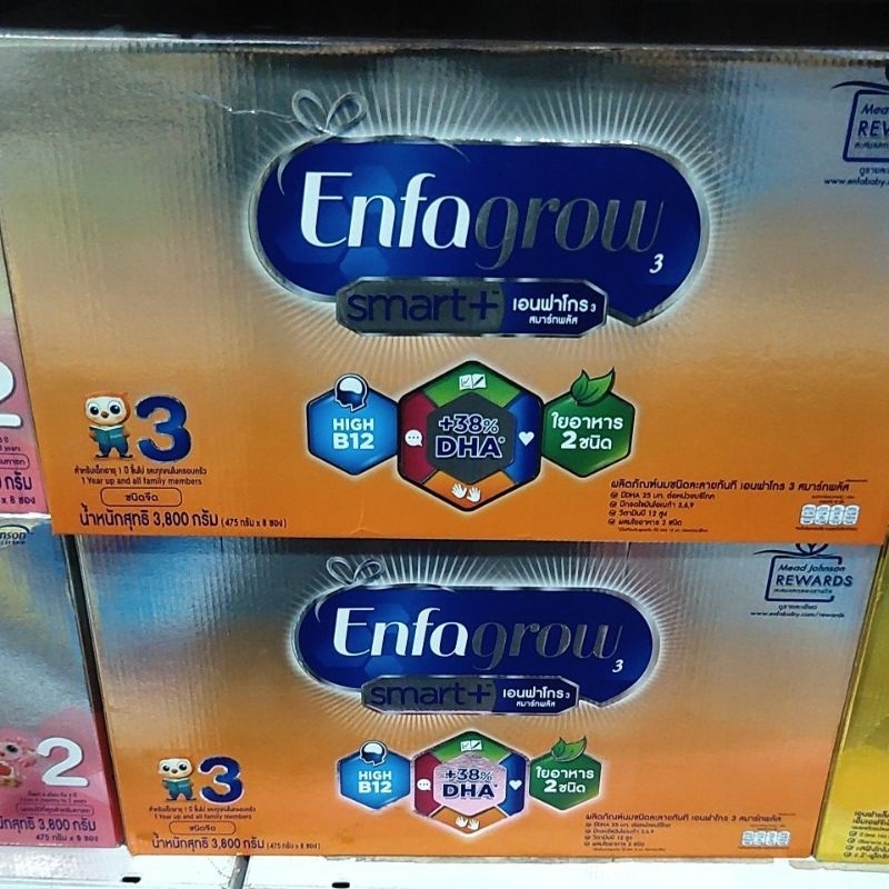 Enfa smart 3 3,400 กรัม | Shopee Thailand