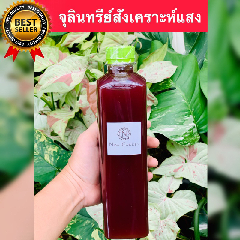 จุลินทรีย์สังเคราะห์แสงเข้มข้น 500 ml. หัวเชื้อ PSB ปุ๋ยน้ำใช้ได้กับพืชทุกชนิด | Shopee Thailand