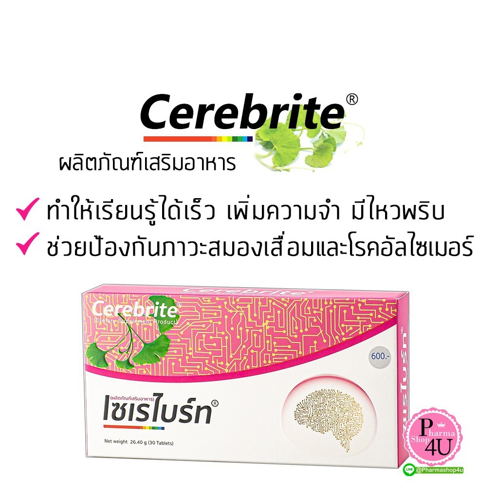 Cerebrite 30 Tablets เซเรไบร์ท ใบแป๊ะก๊วยผสมโสมสกัด น้ำมันปลาทูน่า ช่วย ...