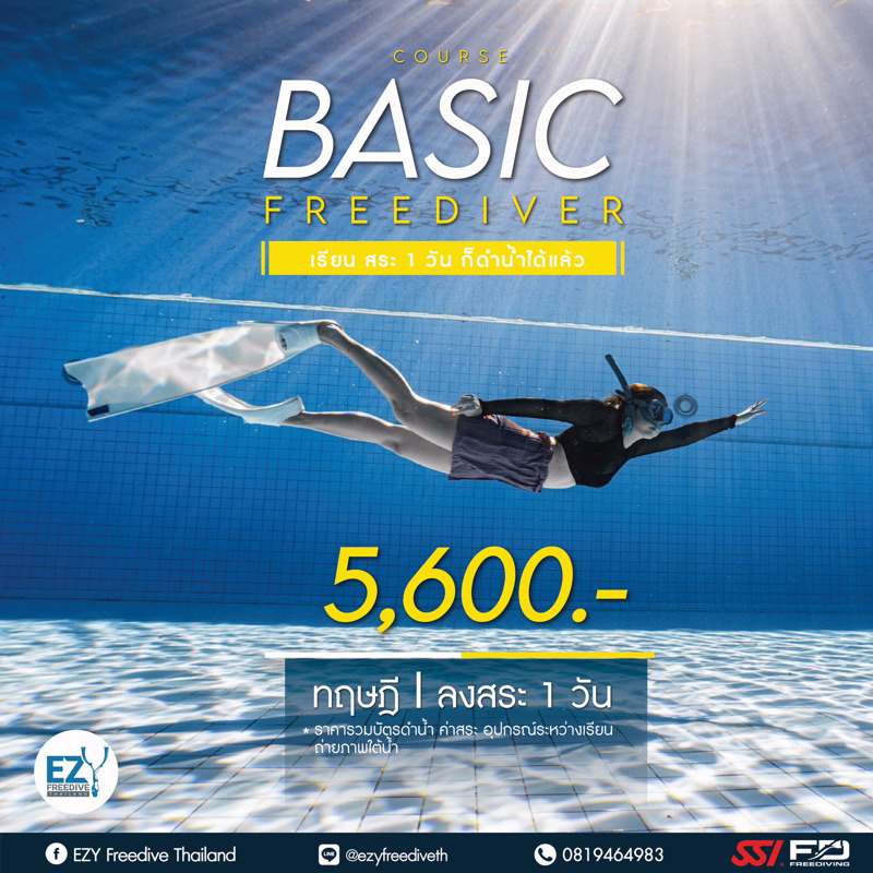 คอร์สเรียนดำน้ำ Basic Freediving by EZY Freedive Thailand | Shopee Thailand