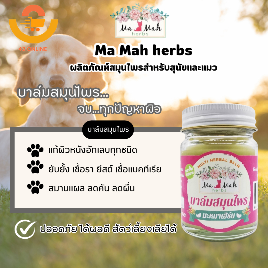 Ma Mah herbs บาล์มสมุนไพรสำหรับสัตว์เลี้ยง 50g. | Shopee Thailand