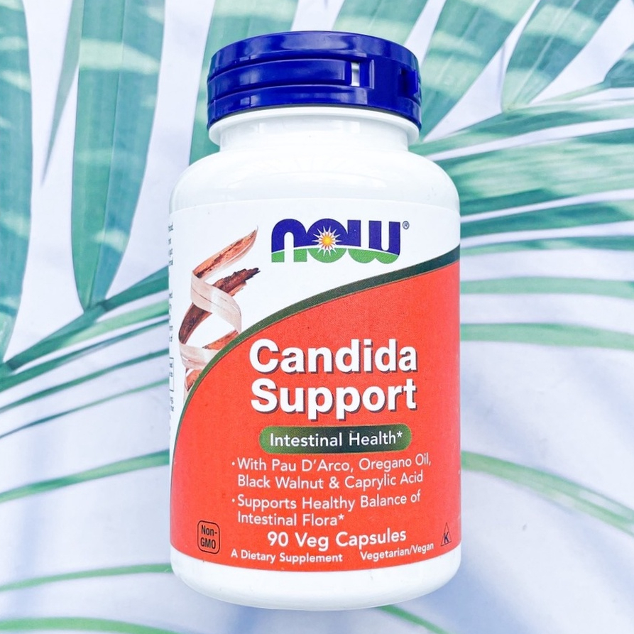 สมุนไพรลดยีสต์แคนดิดา Candida Support 90 Veg Capsules (Now Foods®) Pau D'Arco, Oregano Oil ...