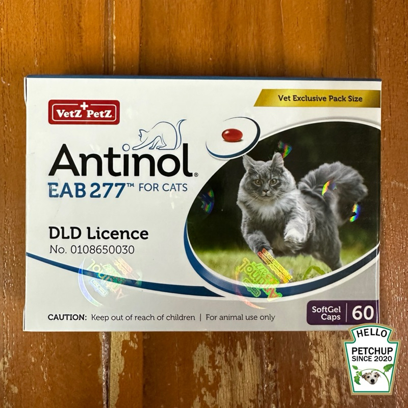 Antinol Cat 60 Capsules สูตรใหม่ EAB 277™ (กล่องใหม่เคลือบโฮโลแกรมรอบ ...