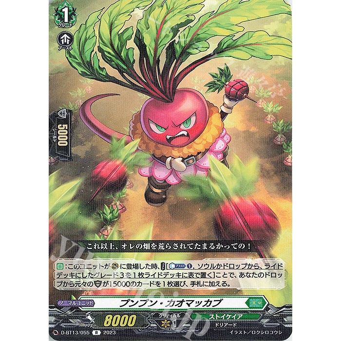 Vanguard D-BT13 R แยกใบ | Shopee Thailand